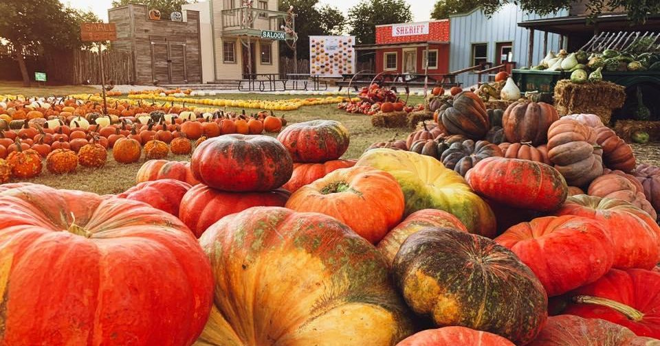 Fall into Abilene | Seasonal Events, Flavors & Fun | Abilene, TX