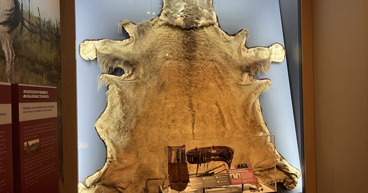 White Buffalo Hide & Texas History in Abilene | Abilene, TX